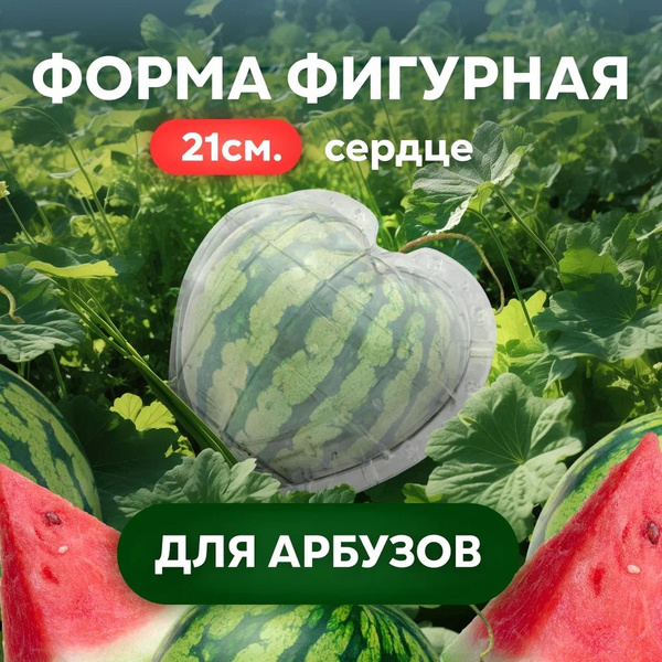 Форма для выращивания овощей, ABS пластик, 21 шт купить c доставкой на ...