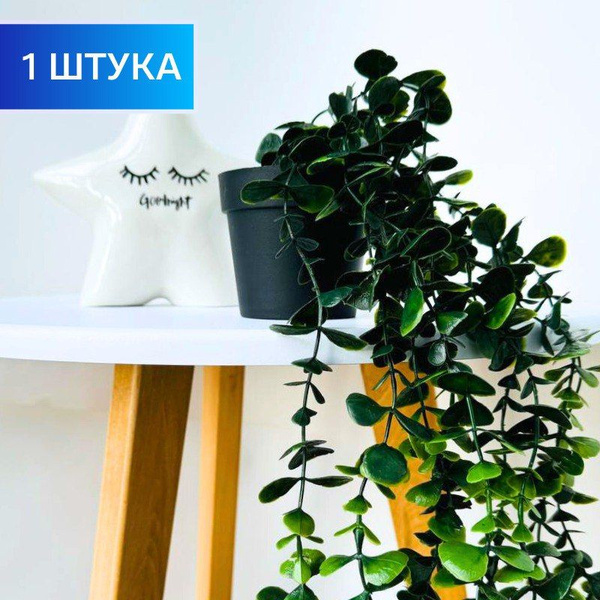 Искусственное растение эвкалипт, цветок в кашпо, свисающая лиана для ...