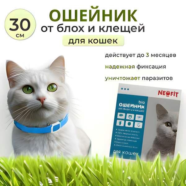Ошейник для кошек от клещей и блох купить на OZON по низкой цене ...