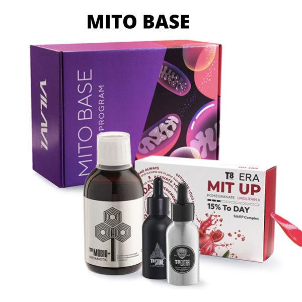Комплексная MITO-программа для оптимизации ресурсов организма Mito Base ...