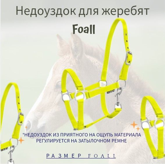 Недоуздок для жеребят желтый Foall купить на OZON по низкой цене ...