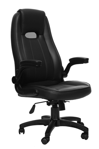 Офисное кресло / Компьютерный стул ZEN Ergonomics черный, экокожа ...