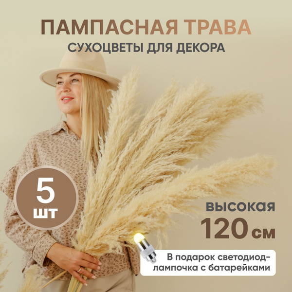 Пампасная трава кортадерия сухоцветы высокая 120 см 5 штук купить на ...
