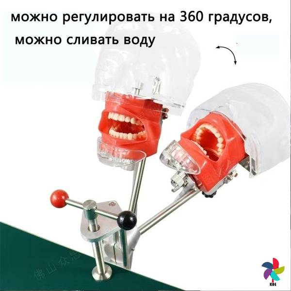 Стоматологический фантом головы для тренировки навыков стоматолога со ...
