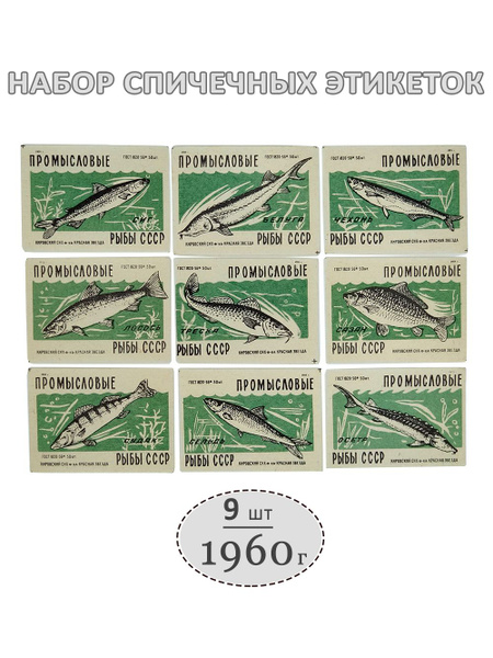 Набор спичечных этикеток "Промысловые рыбы СССР", Красн.Звезда, 9 шт, 1959 г. Зеленый купить на ...