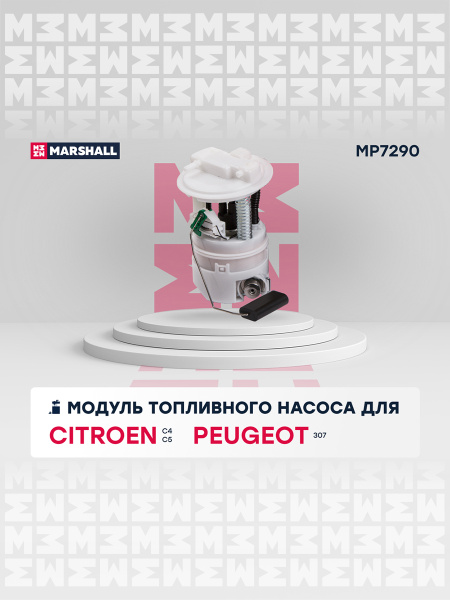 Модуль топливного насоса CITROEN СИТРОЕН C4 C5 PEUGEOT ПЕЖО 307 ...