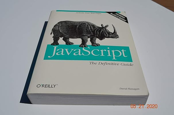 JavaScript: The Definitive Guide (Nutshell Handbooks) купить на OZON по ...