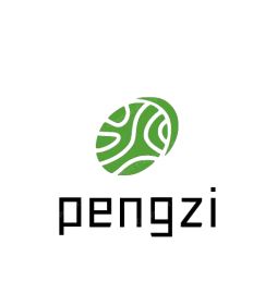 Pengzi — купить товары Pengzi в интернет-магазине OZON