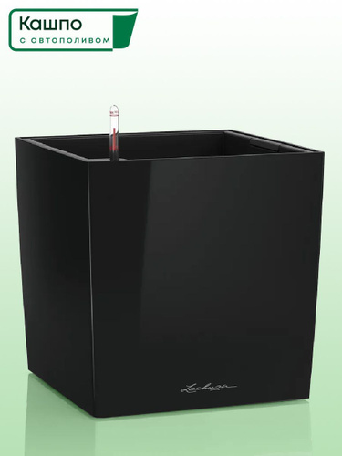 66 отзыв на Кашпо с автополивом Lechuza CUBE Premium 50, L49 W49 H49,5 см, черное глянцевое ...