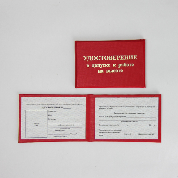 Бланк для удостоверения, листов: 2 купить на OZON по низкой цене в ...