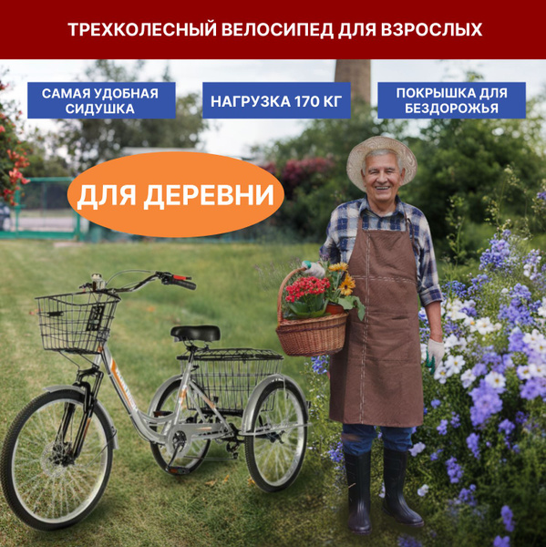 Трехколесный велосипед для взрослых РВЗ Чемпион серебро 24 - купить по ...