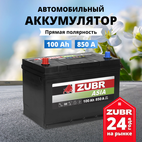 Аккумулятор автомобильный ZUBR Зубр Премиум Азия купить по выгодной цене в интернет-магазине ...