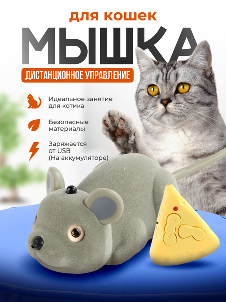 Мышка на пульте для кошки - купить с доставкой по выгодным ценам в ...