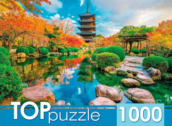 Пазл TOP Puzzle 1000 деталей (элементов) - купить с доставкой по ...