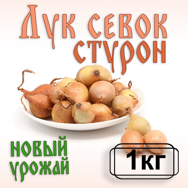 Луковицы Лук севок Лук севок купить по выгодной цене в интернет ...