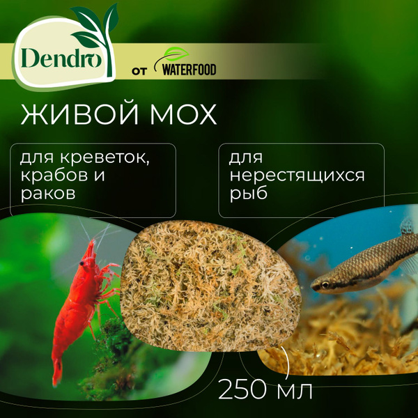 Живой мох для креветочника и нерестовика DENDRO от Water Food - корм ...