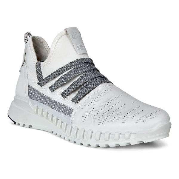 Кроссовки ECCO ZIPFLEX купить на OZON по низкой цене (286041641)