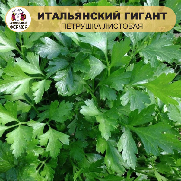 Петрушка Нетипичный Фермер Петрушка - купить по выгодным ценам в ...