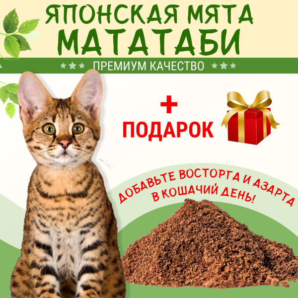 Мататаби кошачья мята для кошек,игрушки для кошек - купить с доставкой ...