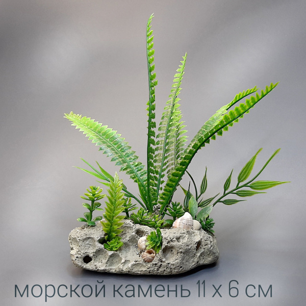 Декор для террариума змей и ящериц. Натуральный морской камень с ...