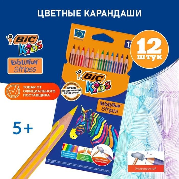 Bic, Карандаши цветные 12 цветов , Bic "Kids Evolution Stripes", пластиковые, детские купить на ...