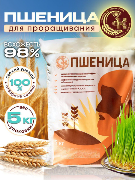 Пшеница для проращивания, микрозелень для проращивания, ростки пшеницы ...