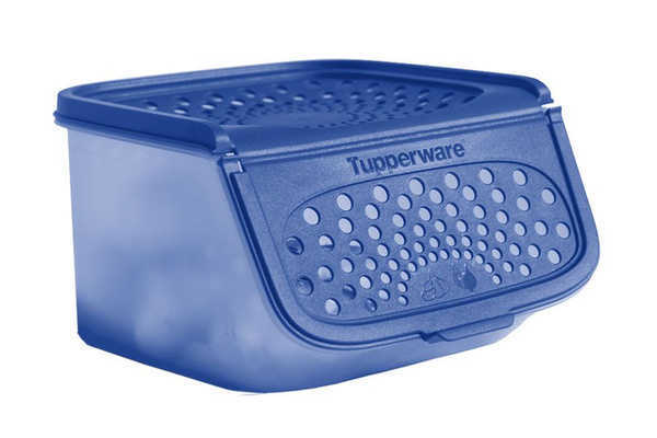 Контейнер пищевой Tupperware, 200*170*110, объем 2300 мл - купить по ...