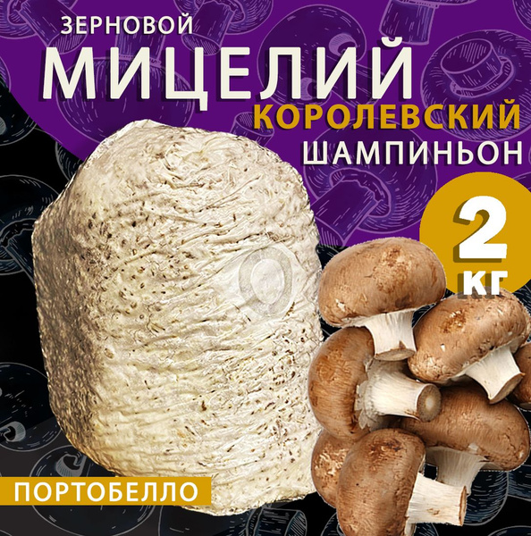 Мицелий грибов шампиньонов королевских зерновой (штамм Портобелло / АР ...