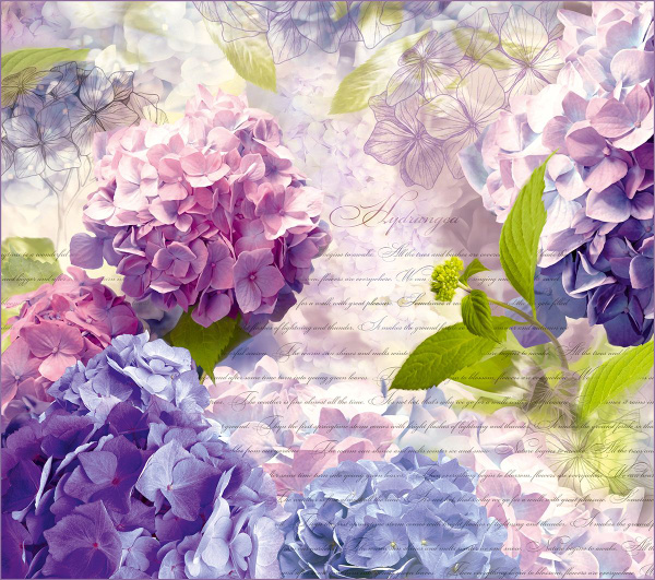 Фотообои Vostorg № 363 Гортензия 294х260см купить на OZON по низкой ...