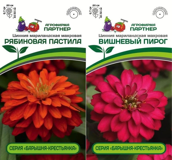 Циния Агрофирма Партнер цинния - купить по выгодным ценам в интернет ...