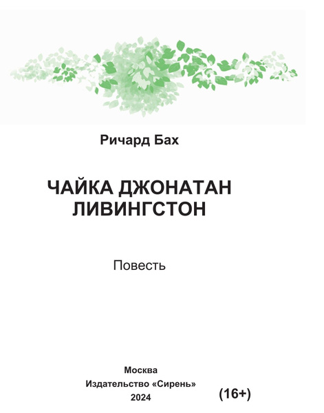 Книга для слепых шрифтом Брайля "Чайка Джонатан Ливингстон" | Бах ...