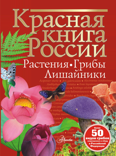 Красная книга России. Растения Грибы Лишайники Пескова И.М. купить на ...