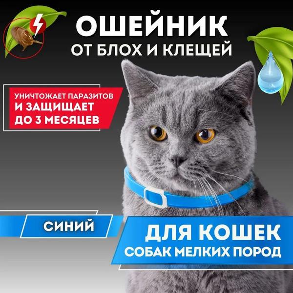 Ошейник для кошек и собак мелких пород от блох и клещей БИО ZOO JOY ...