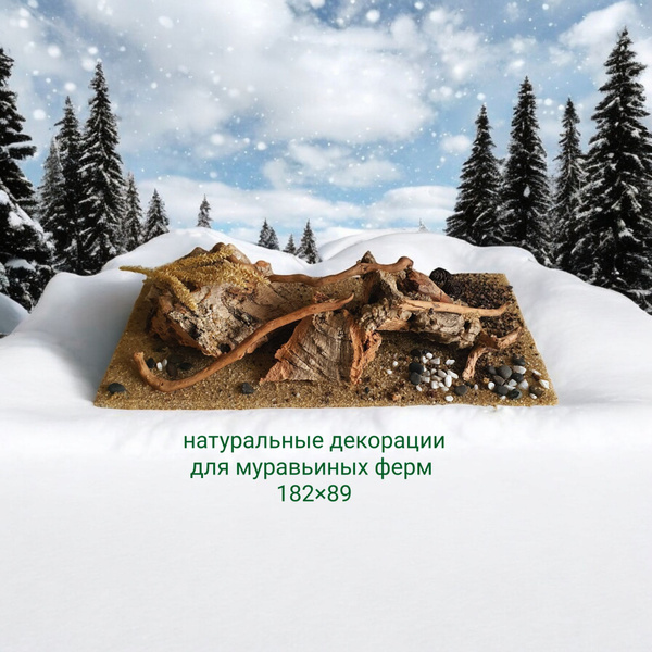 AntScape (АнтСкейп) от Биохобби - съёмная декорация для украшения муравьиных ферм, формикариев ...