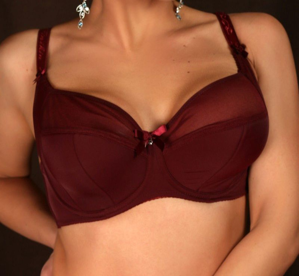 Бюстгальтер Женский Finikin классическая чашка, размер 85G бордовый Повседневный Китай Крючки ...