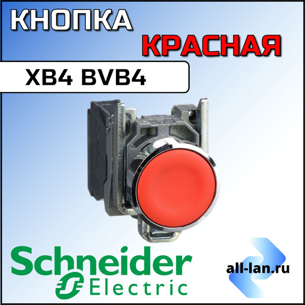 XB4BVB4 Кнопка Schneider Electric купить на OZON по низкой цене ...