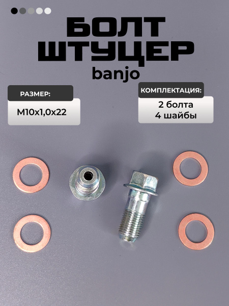 Болты, гайки, хомуты, стяжки M10 x 1, 2 шт. купить c доставкой на OZON по низкой цене (1947383847)