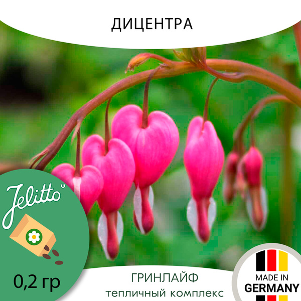 Jelitto Дицентра_DA334, 0.2 г - купить с бесплатной доставкой в OZON ...