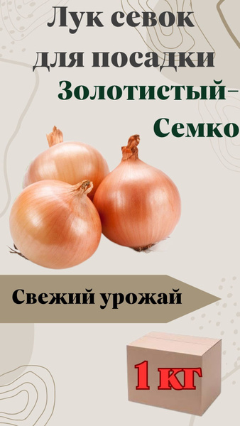 Луковицы Лук севок купить по выгодной цене в интернет-магазине OZON ...