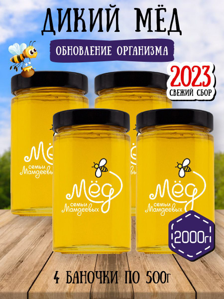 Комплект мед натуральный, Дикий мёд (4 банки по 500 г), 2 кг бортевой ...