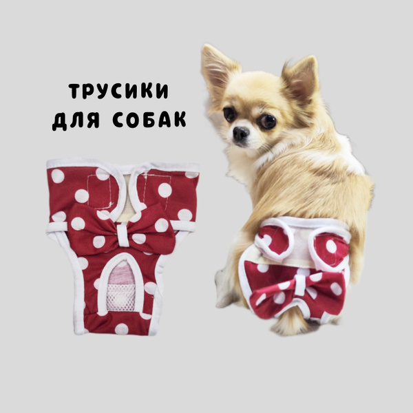 Трусы для собаки во время течки многоразовые. Размер М. Обхват талии 26 ...