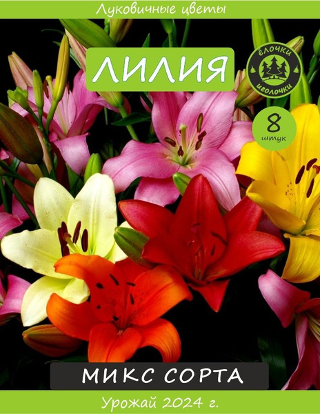 Лилия Луковица, Микс разные, 8 шт (1) купить на OZON по низкой цене ...