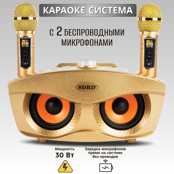 Домашняя Беспроводная Караоке система SDRD SD-306 Plus золотая с двумя ...