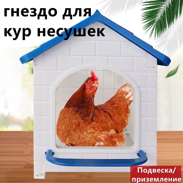 гнездо для кур несушек, 400х365х440 мм - купить с доставкой по выгодным ...