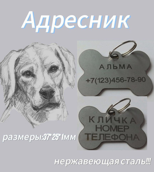 Адресник для собак с гравировкой купить на OZON по низкой цене (1553663730)