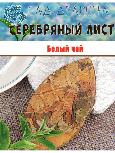 Белый чай Серебряный лист Древнего дерева, 100гр (12шт) - купить с ...