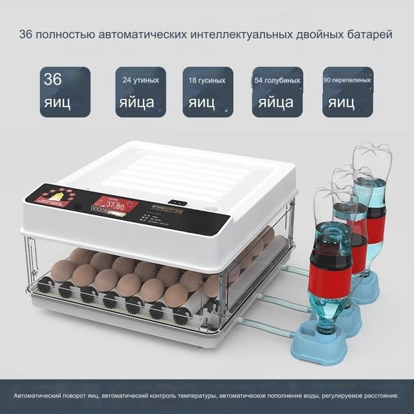48 Nнкубатор для яиц в домашних условиях, инкубатор с автоматическим ...