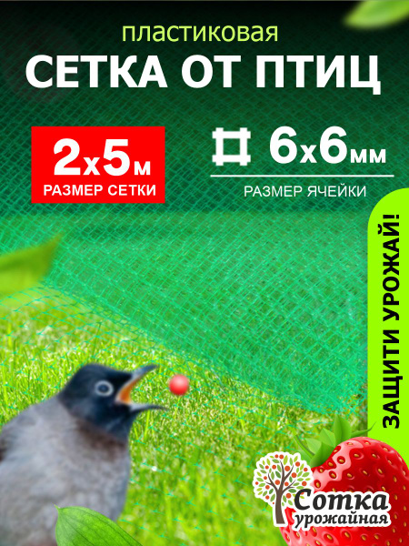 Сетка пластиковая от птиц 6х6 (2 х 5м) Зеленая 'Урожайная сотка ...