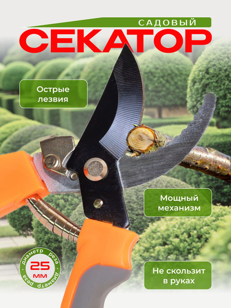 Секатор садовый профессиональный с фиксатором / с лезвиями из ...