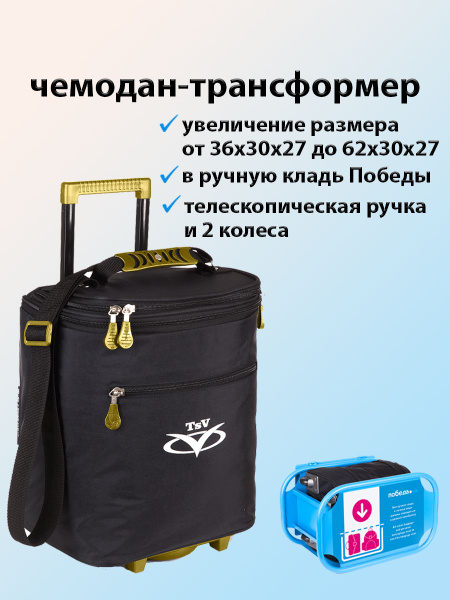 Сумка чемодан-трансформер для ручной клади АК Победа, арт. СП7 - купить ...